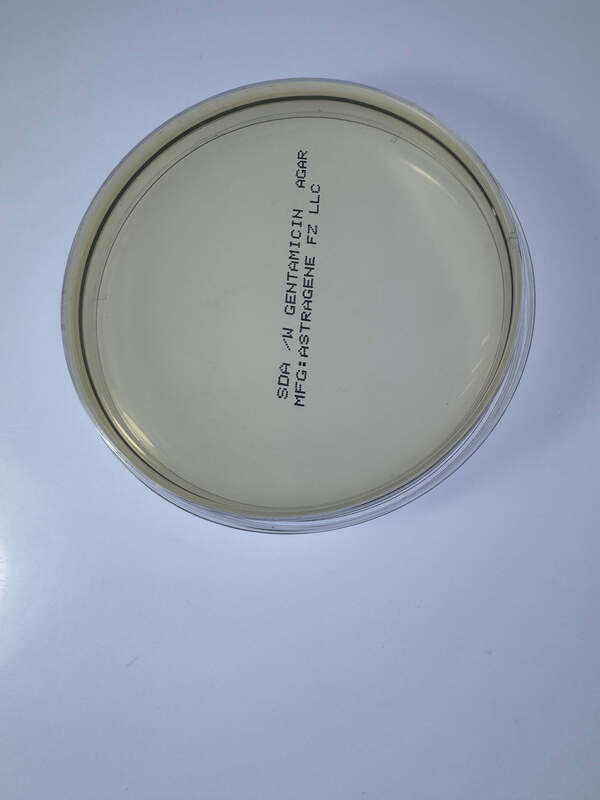 Sabouraud Dextrose Agar Plate With Gentamycin