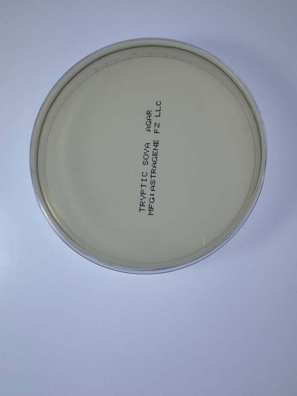 Tryptic Soy Agar Plate