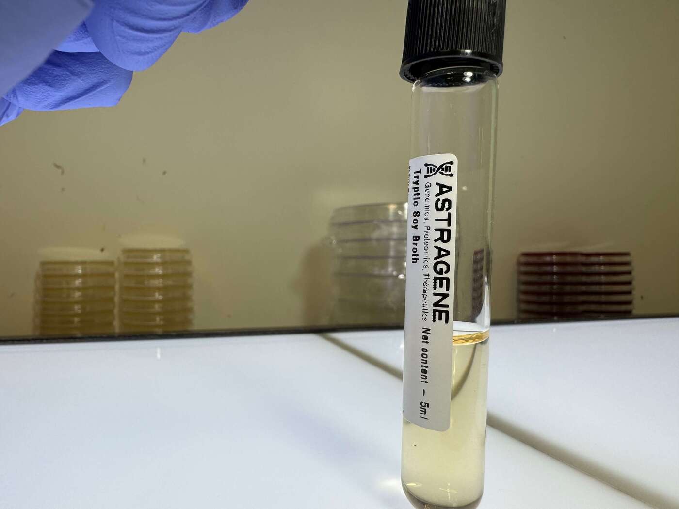 Tryptic Soy Broth (TSB) Tube